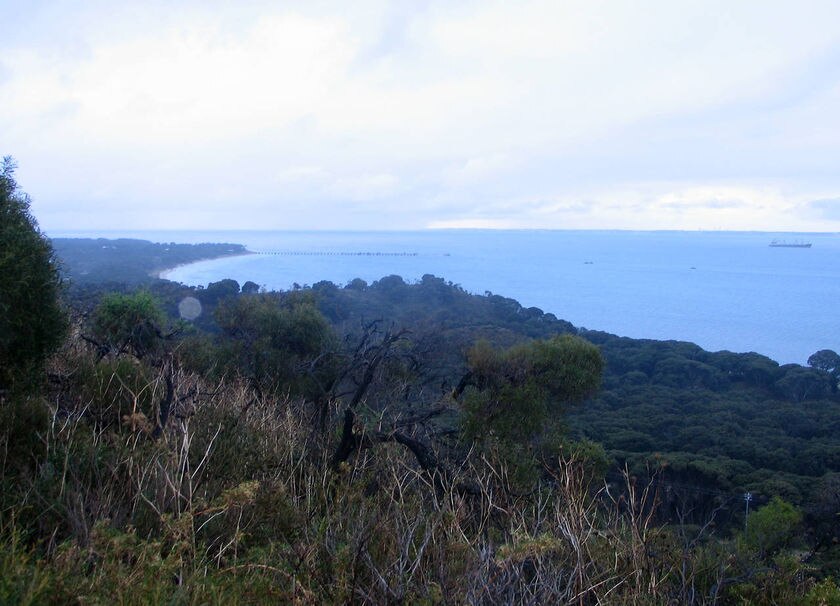 Claire Krol - ABC News