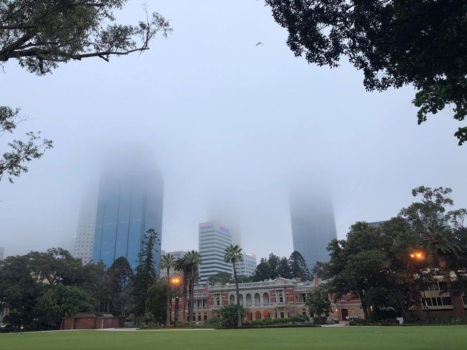 Perth commuter chaos as bus strike, heavy fog disrupt road traffic ...