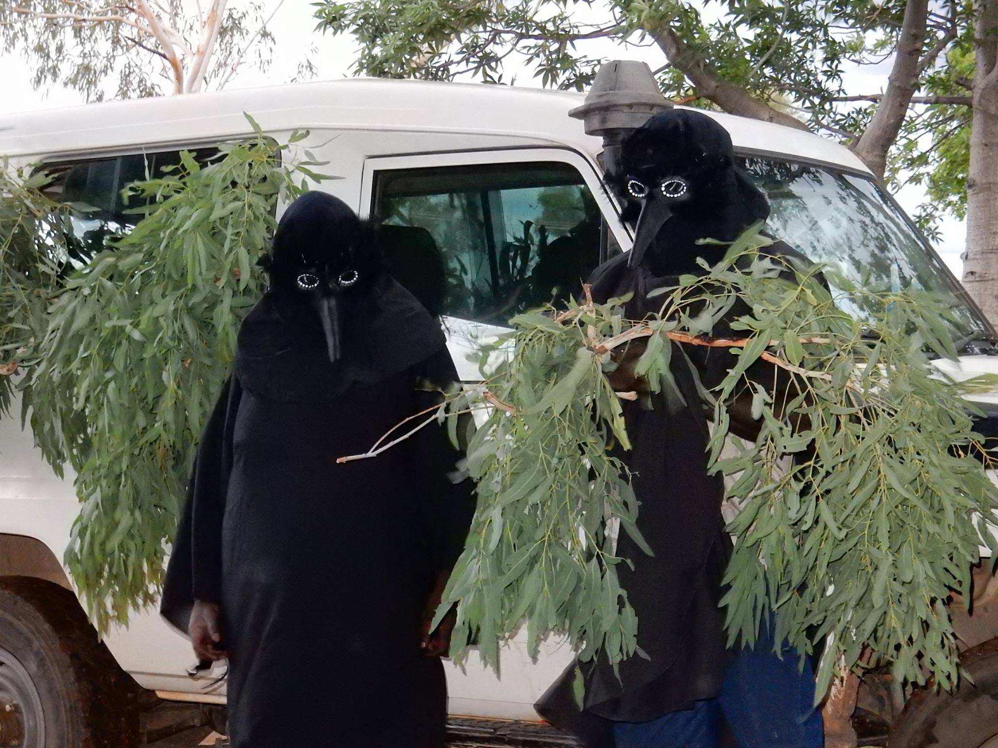 A Christmas crow scares and delights children - ABC listen