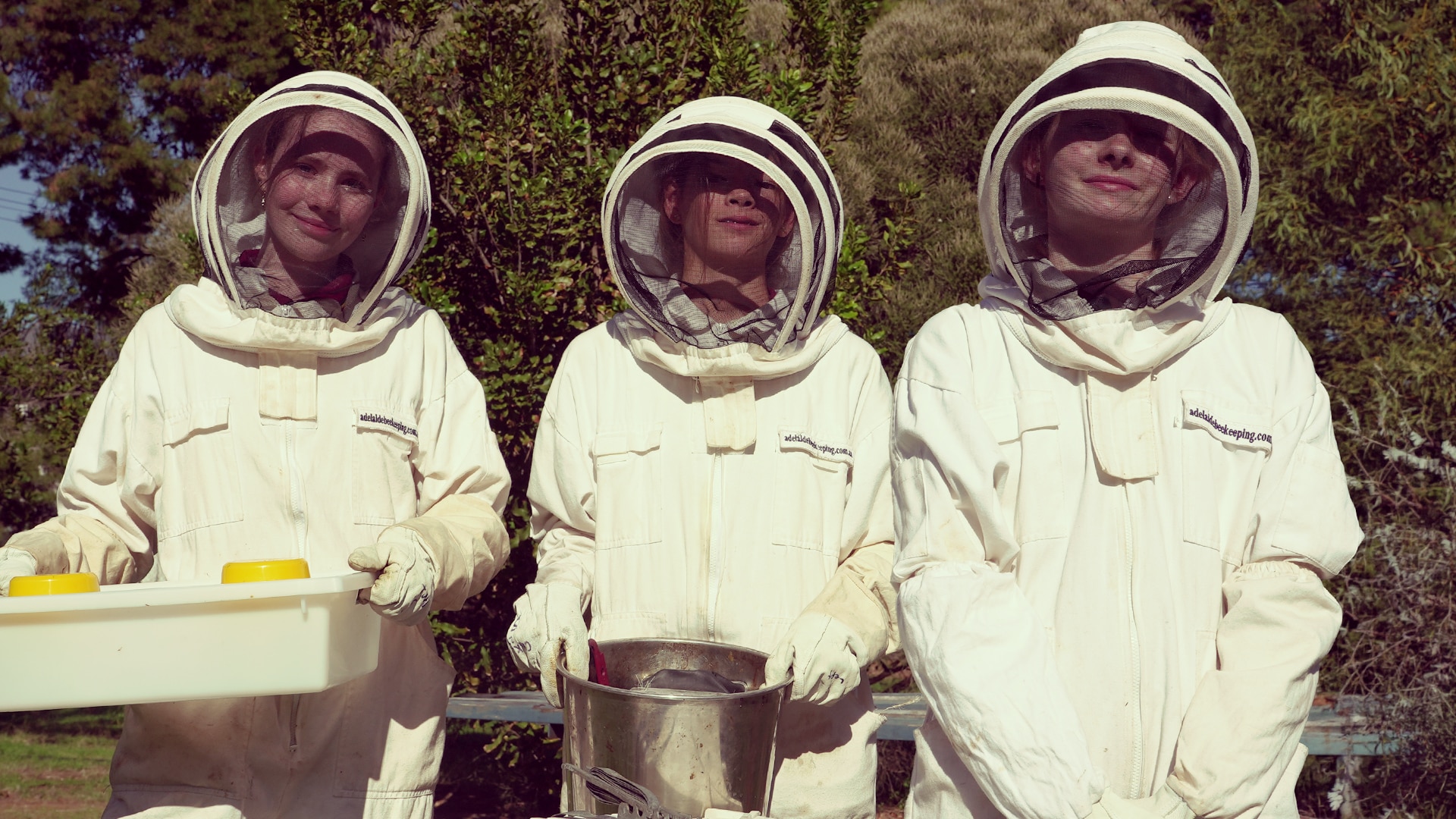 World Bee Day - Behind The News