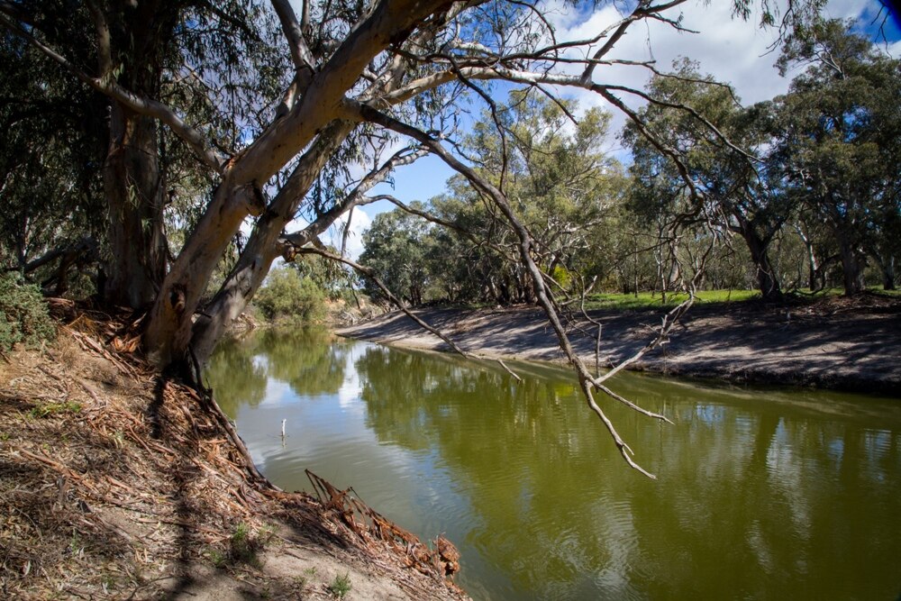 Water from the Lower Darling flows into the Murray, while big rains up ...