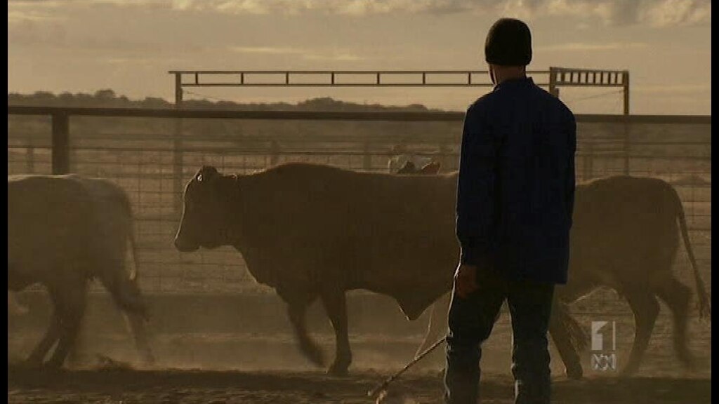 The Big One - ABC News