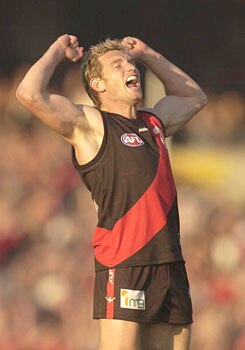 Hird back to best in Bombers win - ABC News