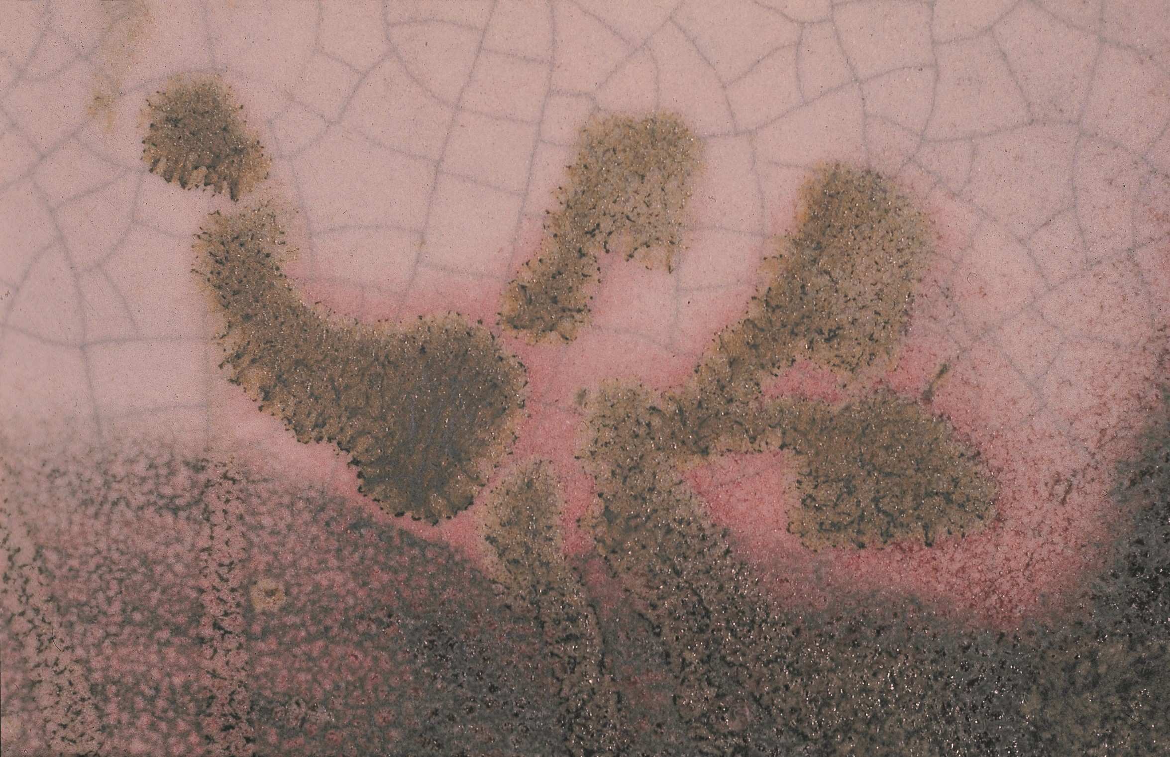 Damon Moon carries on legacy of the late Milton Moon, respected ...