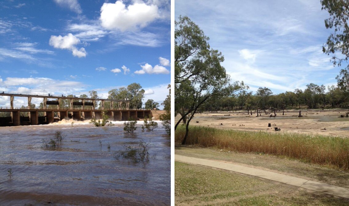 Balonne River flows again after widespread rainfall - ABC News