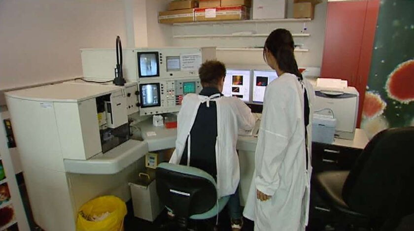 Stem cell centre under fire - ABC News