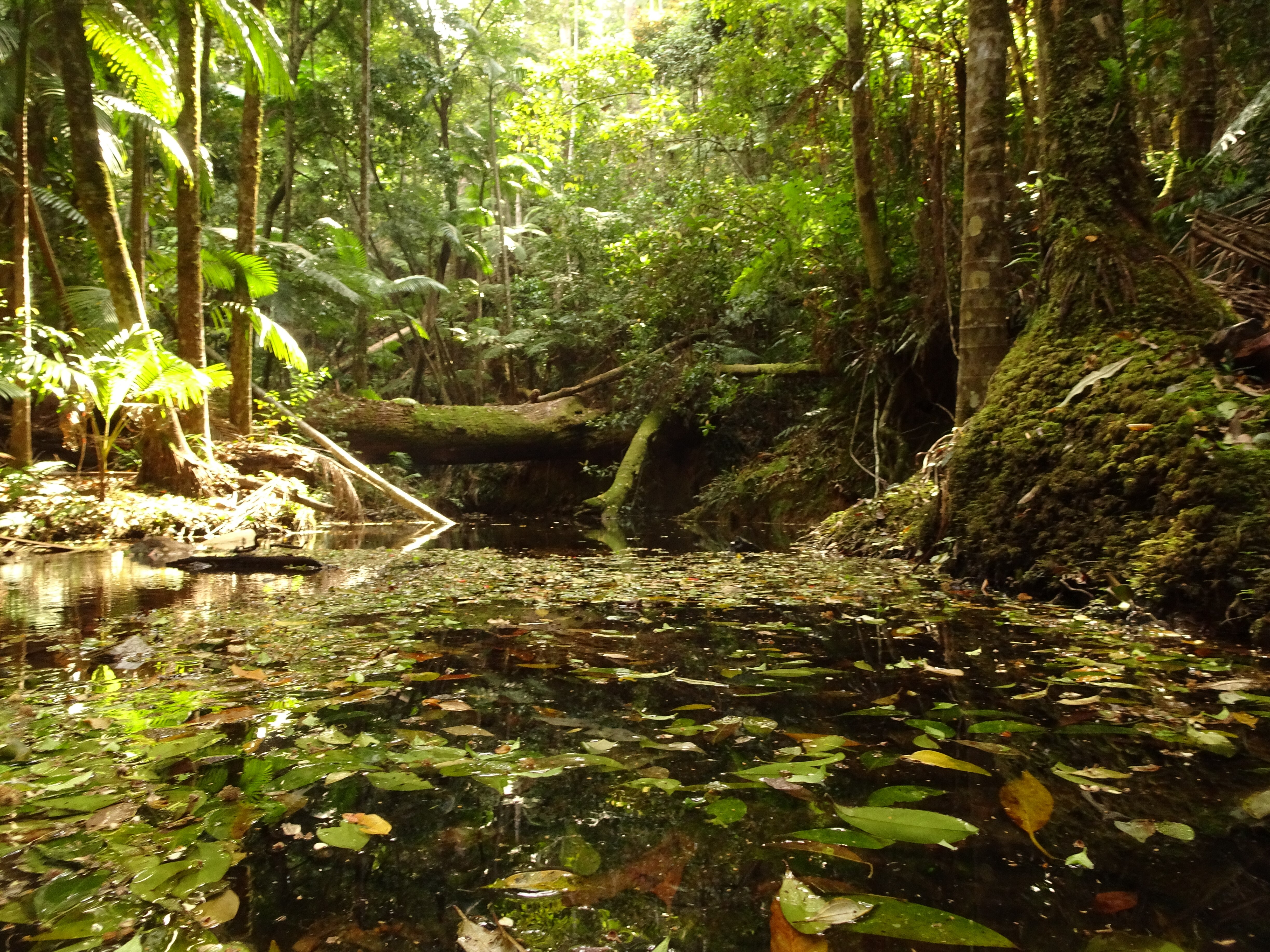 The only way out is through: Embracing the existential weirdness of the ...