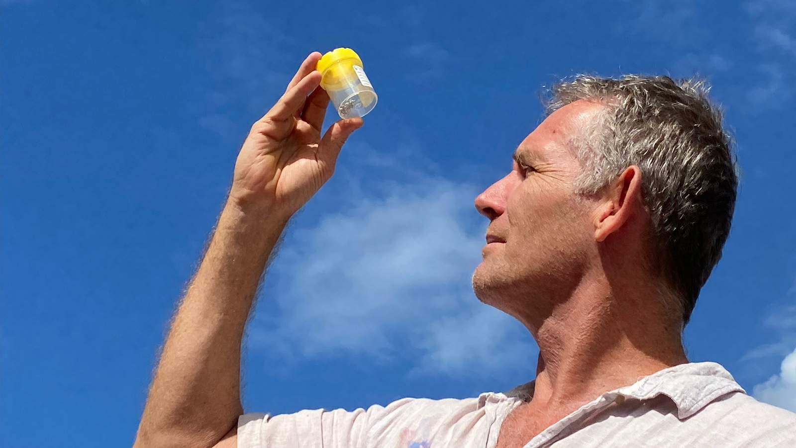 Life in 500 Words: Mark Waller gives thanks to his staples - ABC listen