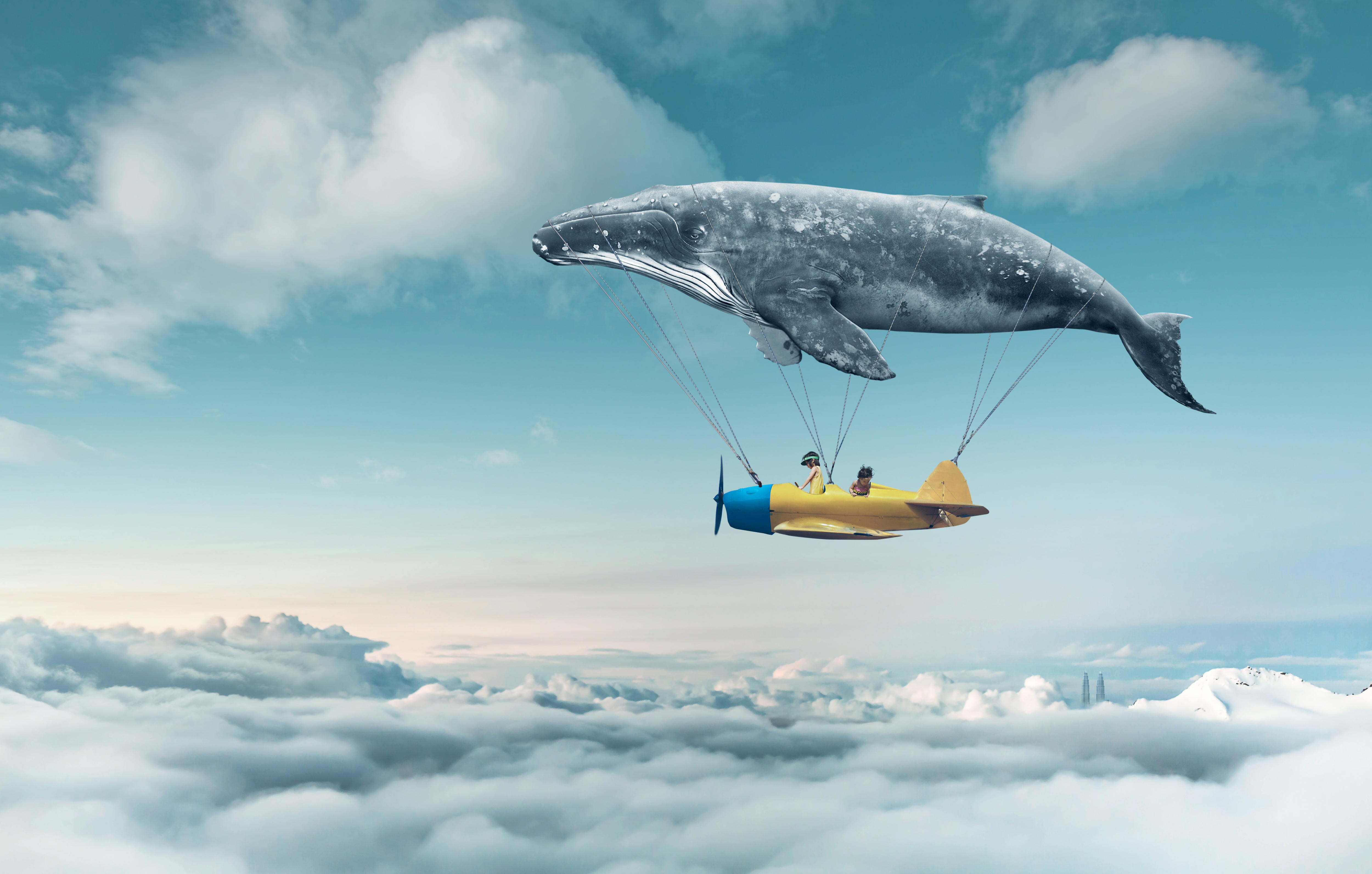 Why do we dream? - ABC Education