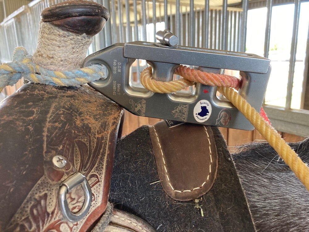 Rodeo sport of calf roping causes stress, fear and should be banned ...