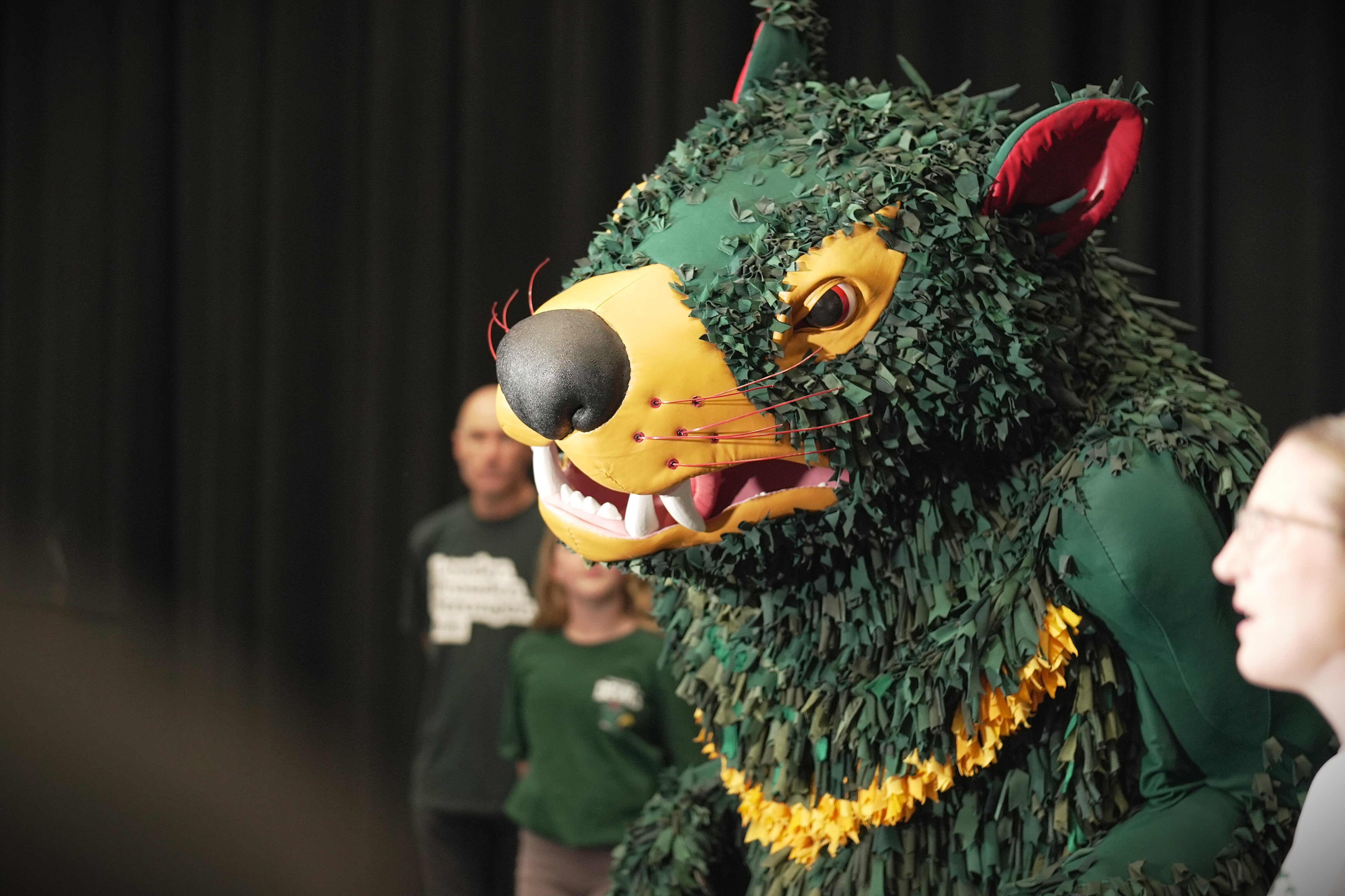 Who, or what, is Rum'un, Tasmania's new AFL mascot? - ABC News