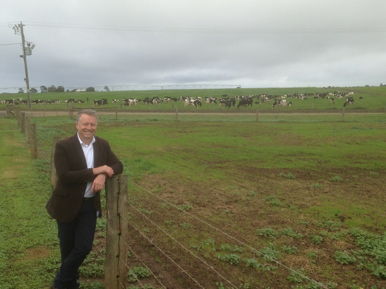 An election photo with some cows? Or promises worth hinging the farm on ...