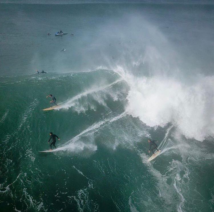 Photo making a wave on social media - ABC Newcastle