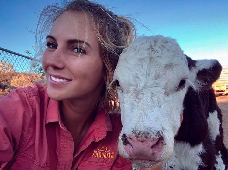 Cattle station life popular with city dwellers in Nikita Hayes' glimpse ...