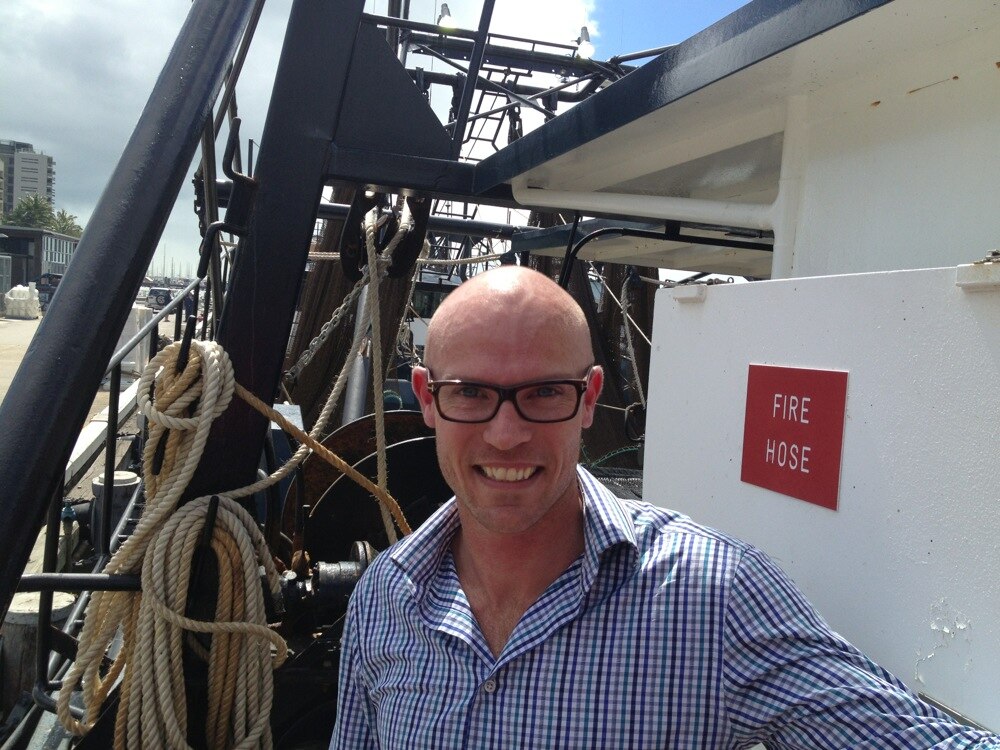 Blue tick pays off for prawn crews - ABC News