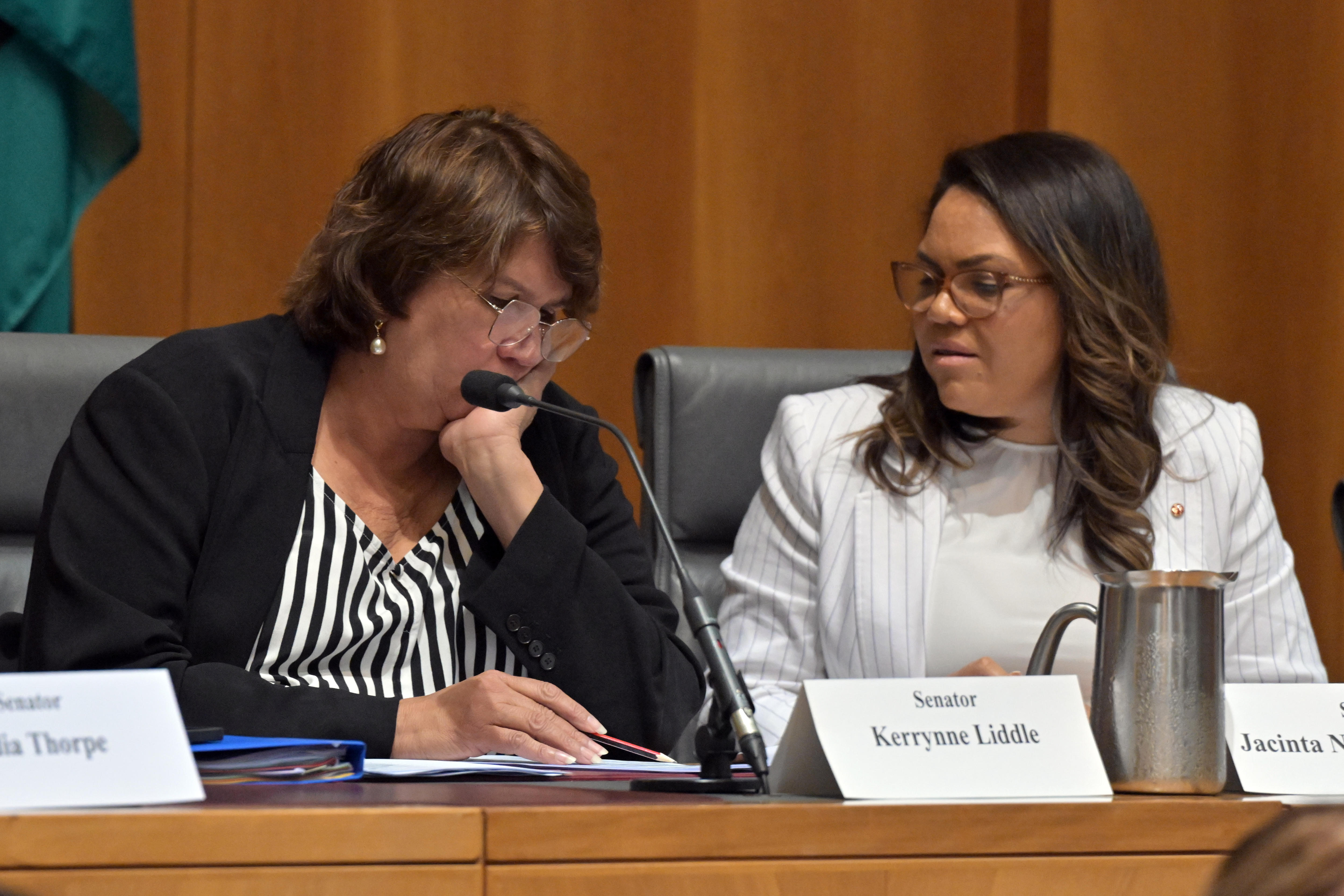 Jacinta Nampijinpa Price and Kerrynne Liddle a 'unity ticket' on ...