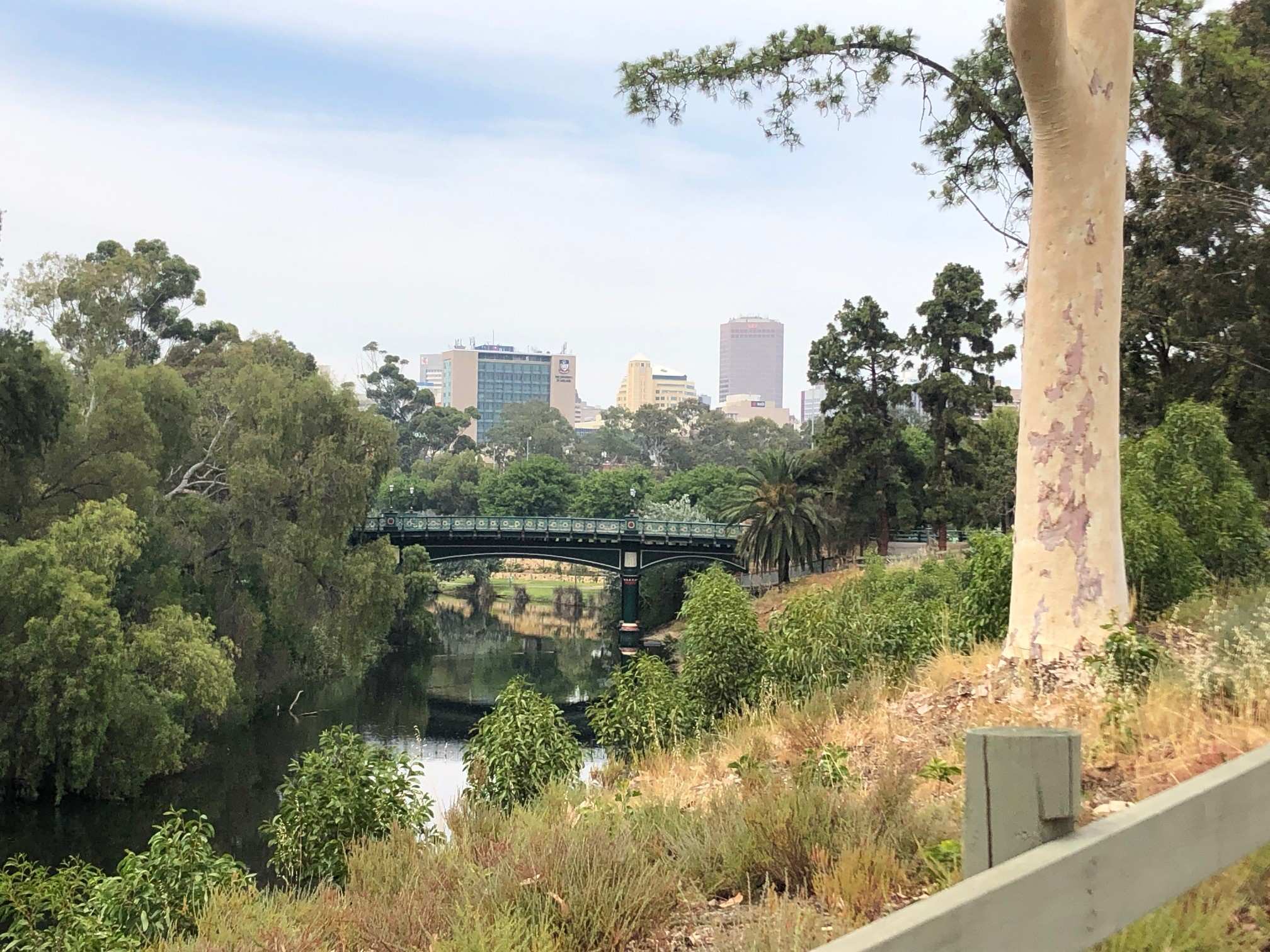Adelaide Hills bushfire destroys more than 70 homes - ABC News